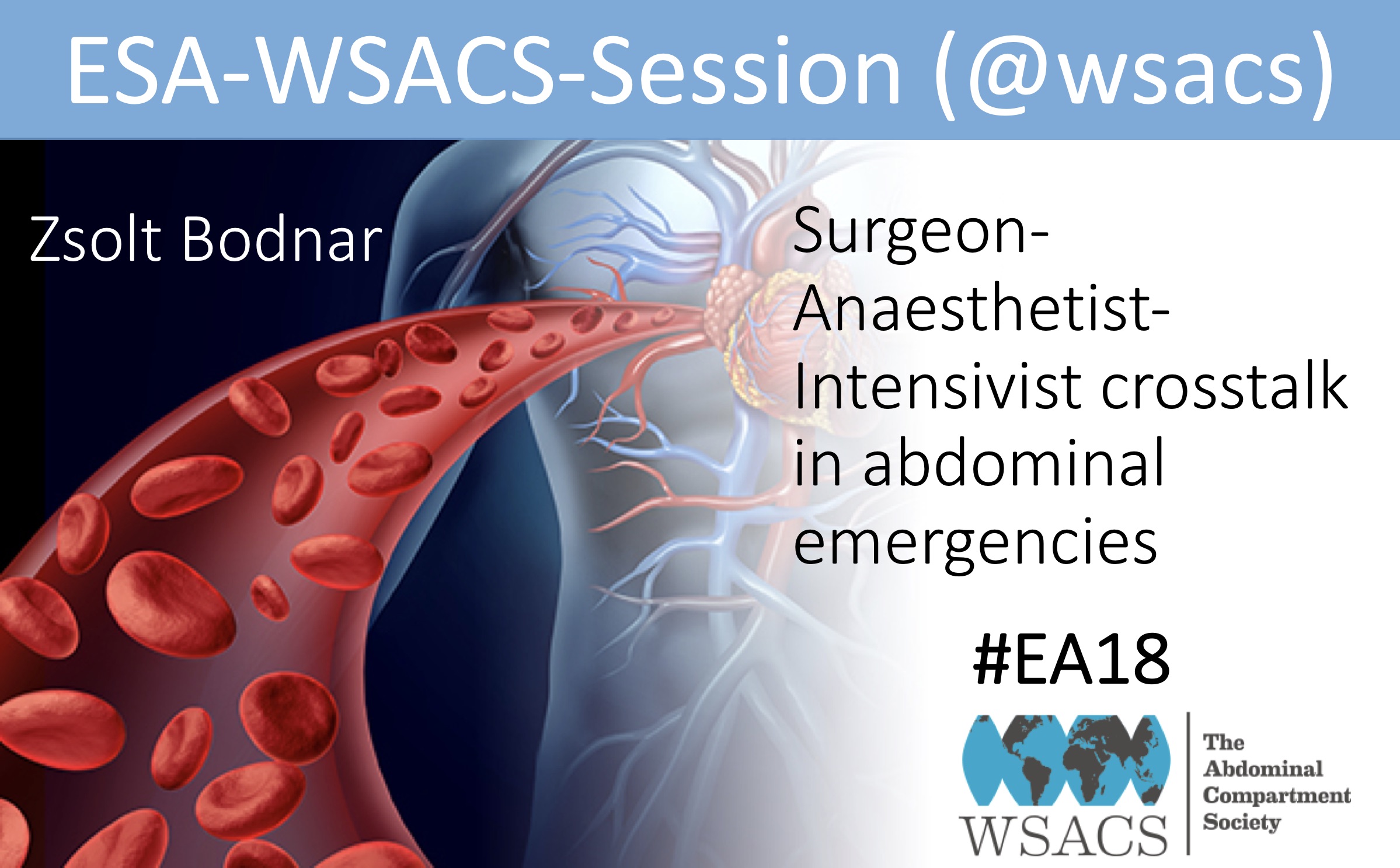 Surgeon-Anaesthetist-Intensivist Crosstalk In Abdominal Emergencies | WSACS